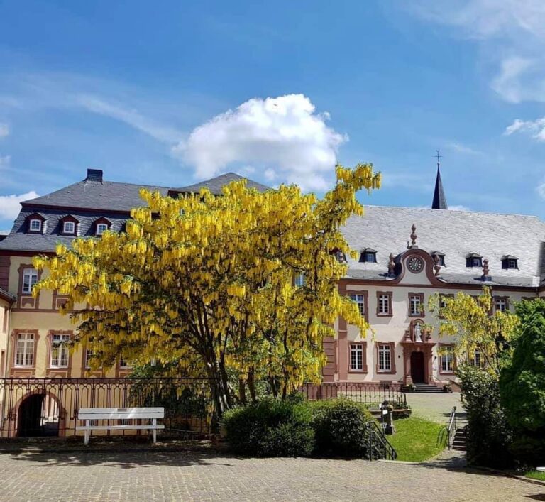 Mind Detox & Gedankenfasten · Yoga-Woche im Kloster Steinfeld